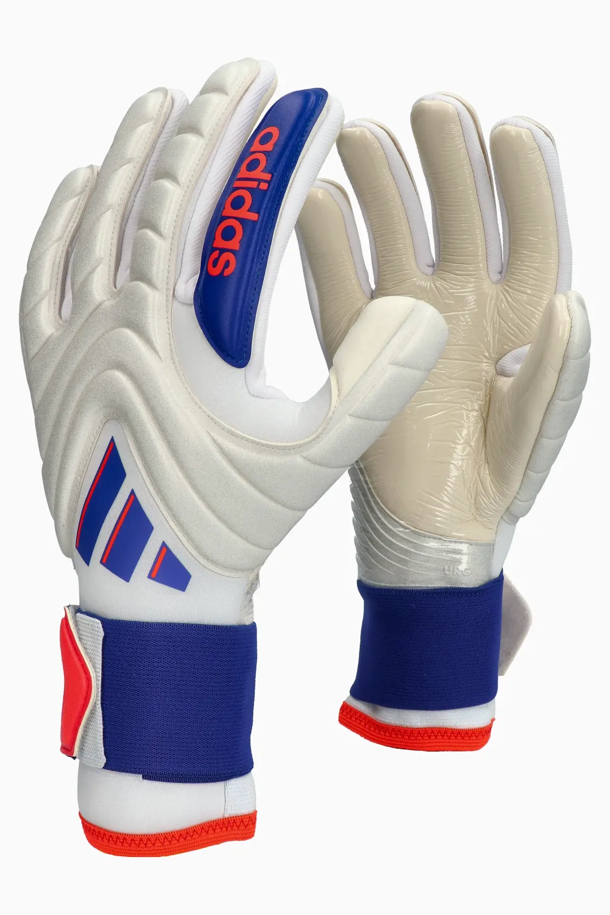 Goalkeeper gloves adidas Copa Pro PC - White | R-GOL.com - Football ...